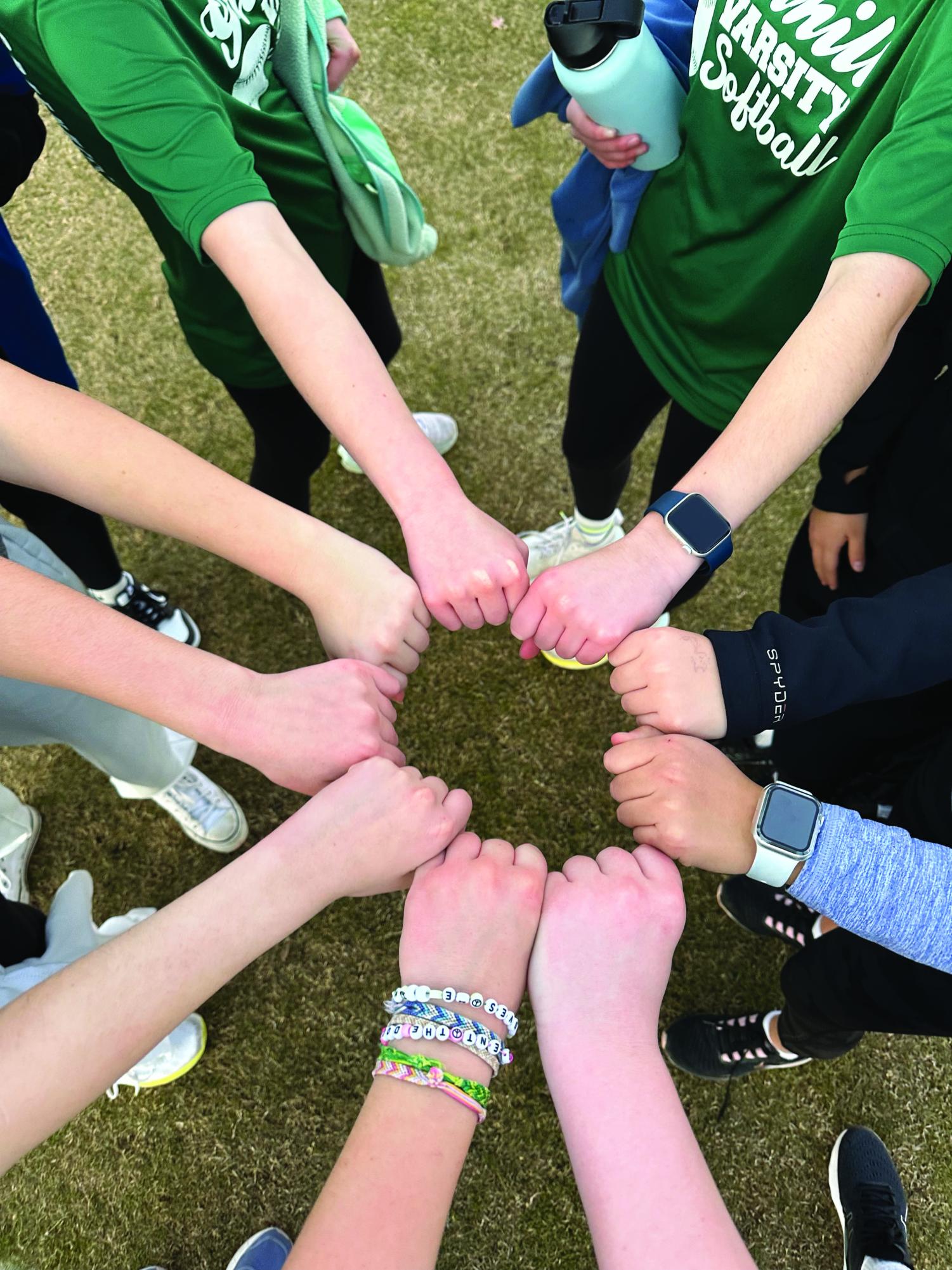 Girls Varsity Softball Preview – The Evergreen Online